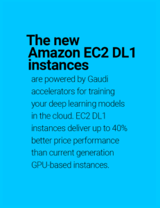 Amazon EC2 DL1 Instances - Habana